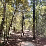 Bartram Trail: West Dam Recreation Area to Washington Road, South ...