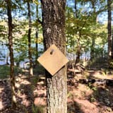 Bartram Trail: West Dam Recreation Area to Washington Road, South ...