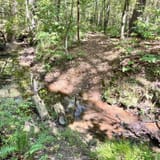 Bartram Trail: West Dam Recreation Area to Washington Road, South ...