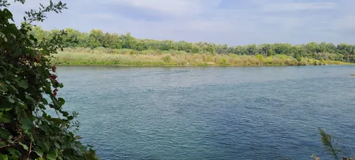 Best River Trails in Corning | AllTrails