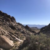 Grapevine Canyon Trail, Nevada - 522 Reviews, Map | AllTrails