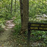 Low Gap Trail , Indiana - 1,232 Reviews, Map | AllTrails