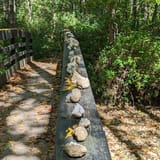 Low Gap Trail , Indiana - 1,232 Reviews, Map | AllTrails