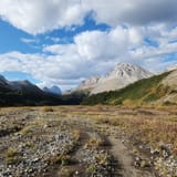 Northover Ridge Loop Trail, Alberta, Canada - 177 Reviews, Map | AllTrails