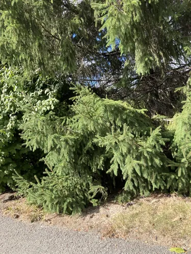 Best Hikes and Trails in Litzenberg Memorial Woods | AllTrails