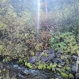 Stone Creek Trail, Montana - 69 Reviews, Map | AllTrails