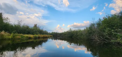 10 Best Hikes and Trails in Au Sable State Forest | AllTrails