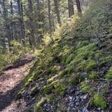 Crimson Trail, Utah - 1,148 Reviews, Map | AllTrails