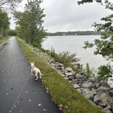 Quequechan River Rail Trail, Massachusetts - 177 Reviews, Map | AllTrails