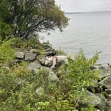 Quequechan River Rail Trail, Massachusetts - 177 Reviews, Map | AllTrails