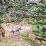 Burroughs Mountain Loop Trail, Washington - 2,233 Reviews, Map | AllTrails