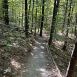 Rock Dunder, Ontario, Canada - 1,090 Reviews, Map | AllTrails