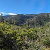 Stultz Trail, Colorado - 121 Reviews, Map | AllTrails
