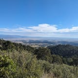 Stultz Trail, Colorado - 121 Reviews, Map | AllTrails