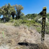 Rice Canyon Trail, California - 963 Reviews, Map | AllTrails