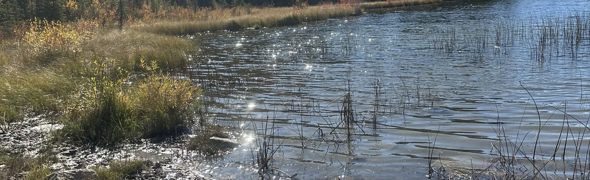 Thompson Lake Loop, Alberta, Canada - 45 Reviews, Map | AllTrails