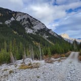 Elbow Loop Trail, Alberta, Canada - 191 Reviews, Map | AllTrails