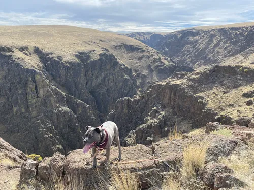 2023 Best River Trails in Marsing | AllTrails