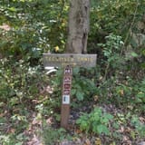 Tecumseh Trail, Indiana - 294 Reviews, Map | AllTrails
