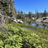 Penner Lake via Grouse Ridge, Round Lake, and Crooked Lakes Trail ...