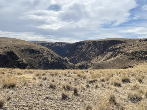 2023 Best River Trails in Marsing | AllTrails