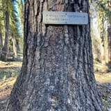 Penner Lake via Grouse Ridge, Round Lake, and Crooked Lakes Trail ...