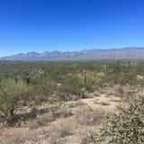 Cactus Forest Loop Drive, Arizona - 462 Reviews, Map | AllTrails