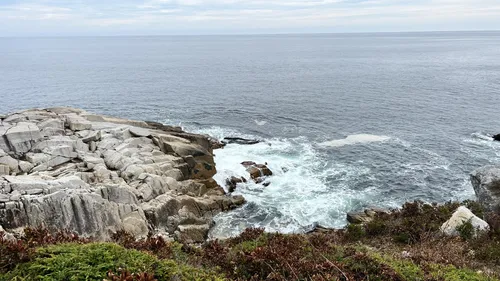 Best Hikes and Trails in Duncan's Cove Nature Reserve | AllTrails