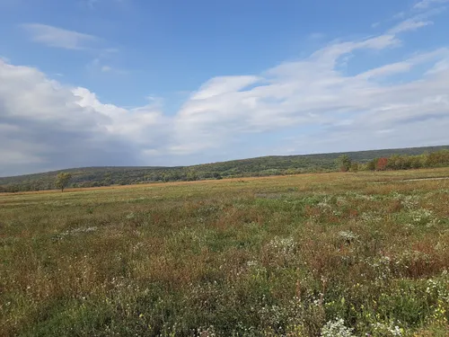 Best Hikes and Trails in Sauk Prairie State Recreation Area | AllTrails