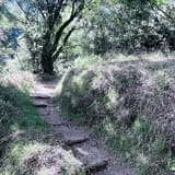 Morgan Trail, California - 451 Reviews, Map | AllTrails