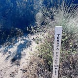 Morgan Trail, California - 451 Reviews, Map | AllTrails