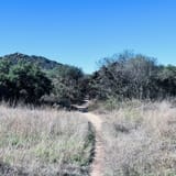 Morgan Trail, California - 451 Reviews, Map | AllTrails
