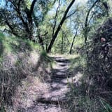 Morgan Trail, California - 451 Reviews, Map | AllTrails