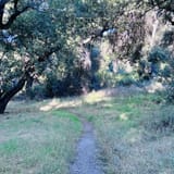 Morgan Trail, California - 453 Reviews, Map | AllTrails