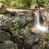 Columbine Trail, Colorado - 1,843 Reviews, Map | AllTrails