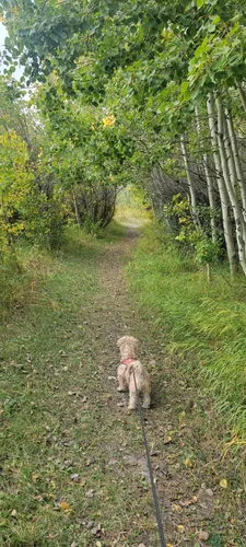 Best Hikes and Trails in Police Outpost Provincial Park | AllTrails