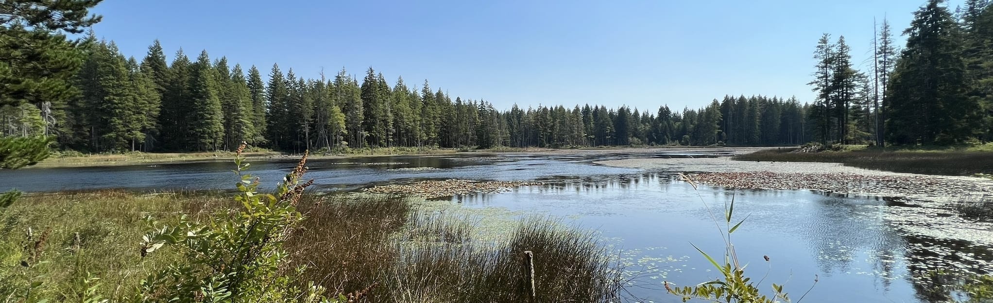 Big Pond Trail, Washington - 561 Reviews, Map | AllTrails