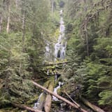 Proxy Falls Loop, Oregon - 1,117 Reviews, Map | AllTrails