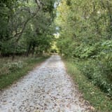Grindstone Nature Area Loop, Missouri - 496 Reviews, Map | AllTrails