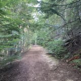 Bead Lake Trail, Washington - 613 Reviews, Map | AllTrails