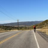 Elk Run Trail, Colorado - 68 Reviews, Map | AllTrails