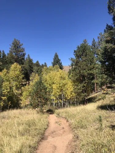 Best Hikes and Trails in Pine Valley Ranch Park | AllTrails