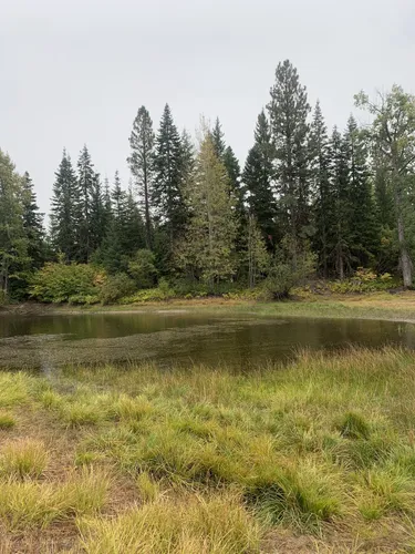 Best Hikes and Trails in Teanaway Community Forest | AllTrails