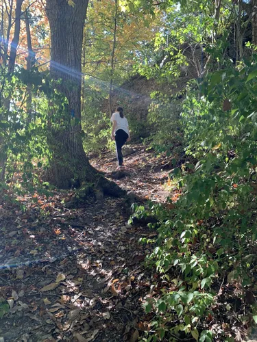 Best Hikes and Trails in Hanging Rock National Natural Landmark | AllTrails