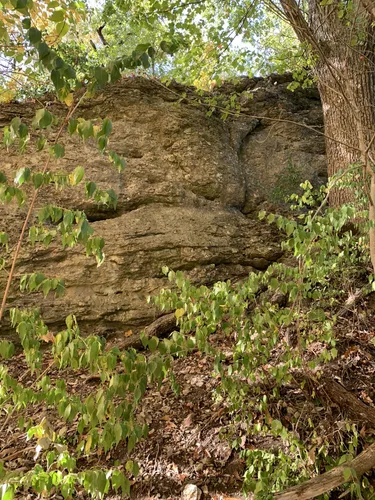 Best Hikes and Trails in Hanging Rock National Natural Landmark | AllTrails