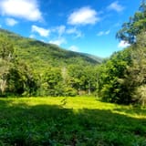 South Toe River Loop Trail, North Carolina - 431 Reviews, Map | AllTrails