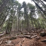 Minotaur Lake Trail, Washington - 575 Reviews, Map | AllTrails