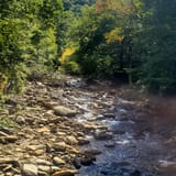 South Toe River Loop Trail, North Carolina - 431 Reviews, Map | AllTrails