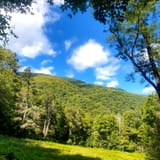 South Toe River Loop Trail, North Carolina - 431 Reviews, Map | AllTrails