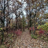 Pembina Rim Trail, Manitoba, Canada - 373 Reviews, Map | AllTrails